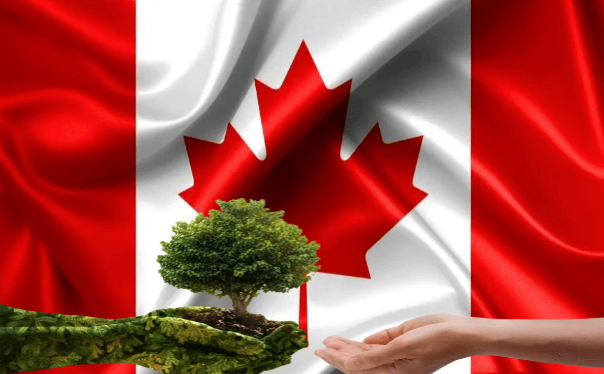 Environmental regulations and policies in Canada - Legal Vidhiya